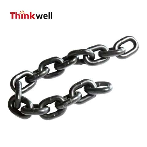 What Are the Maintenance Measures for the Lifting Chain? - Qingdao ...