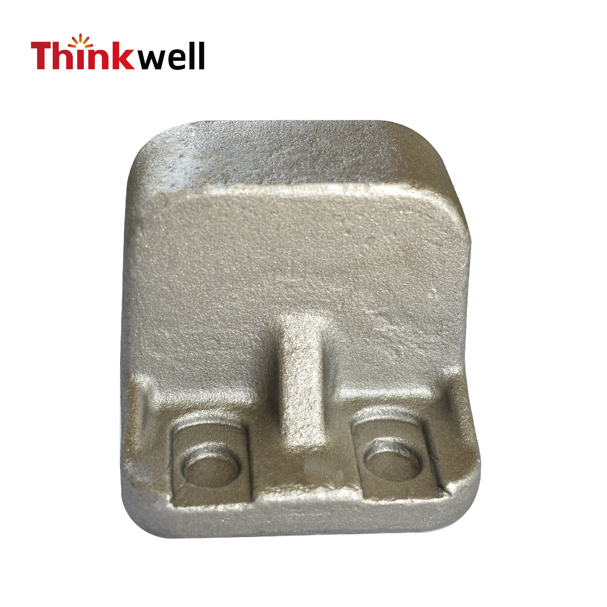 OEM Forging Plate Forging Parts -Thinkwell